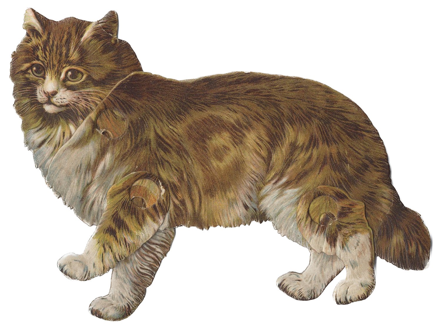 TuckDB Ephemera - Puzzles, books, greeting cards, and more.