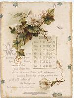 OLIVER WENDELL HOLMES CALENDAR FOR 1895 - TuckDB Ephemera