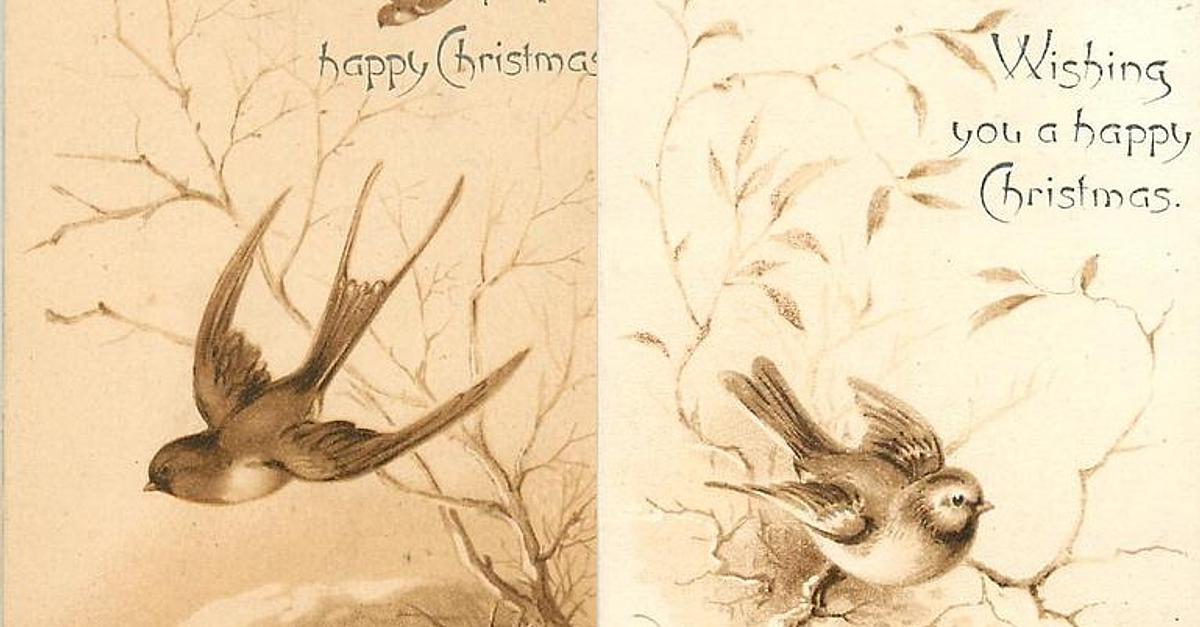 Set: bird and branch - TuckDB Ephemera