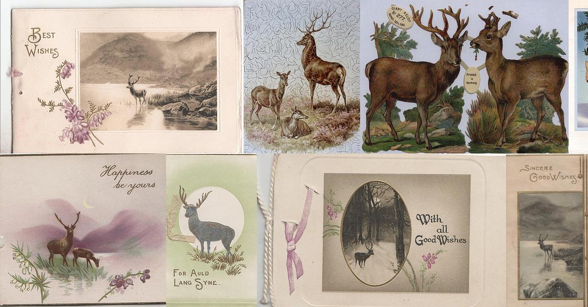 Topic: Deer - TuckDB Ephemera