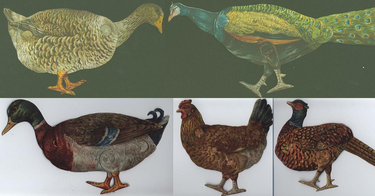 Set: FATHER TUCK'S MECHANICAL BIRDS - TuckDB Ephemera