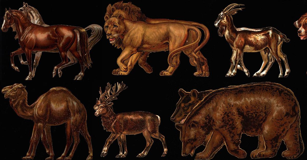 Set: NOAH'S ARK ANIMALS - TuckDB Ephemera